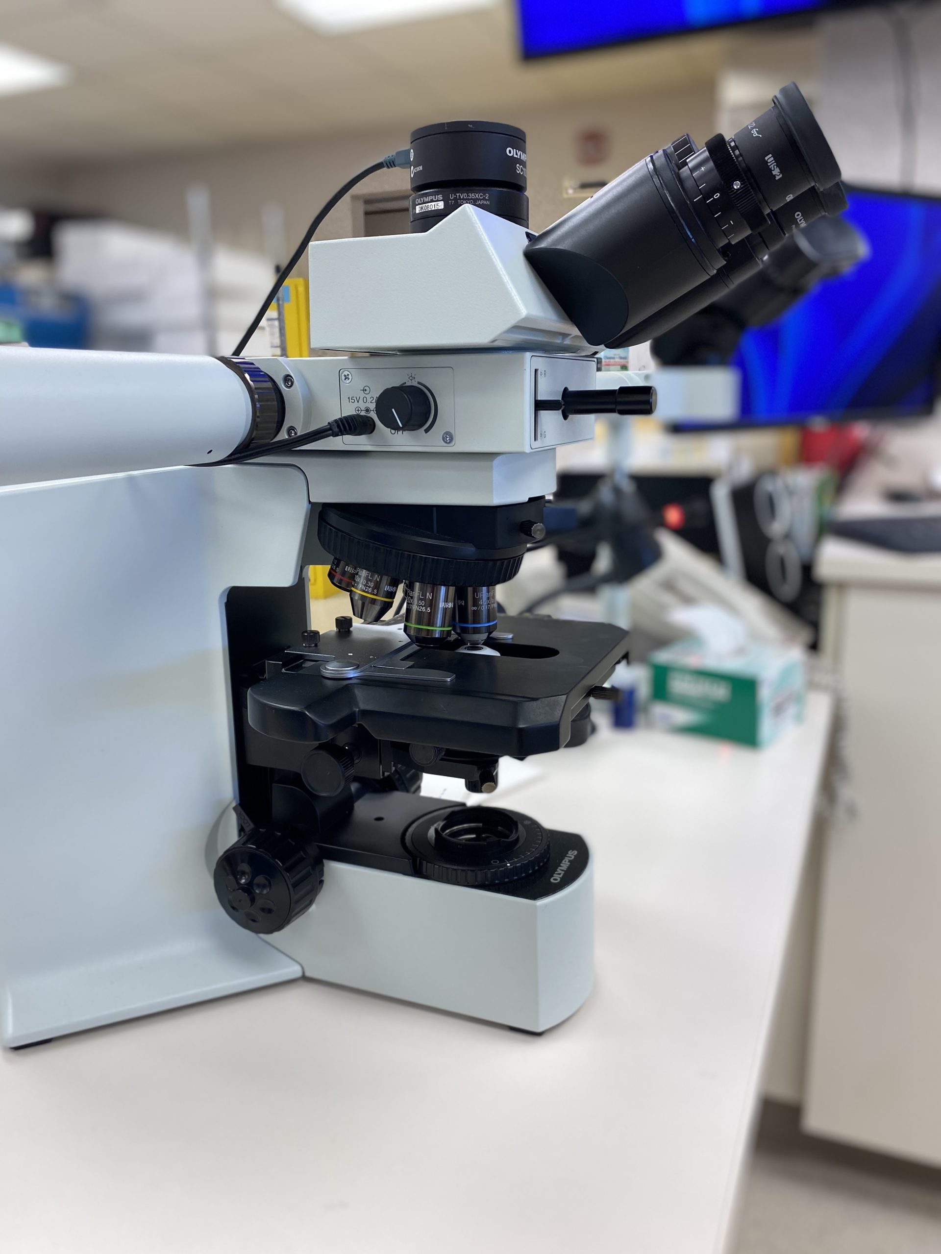 Yellowstone Pathology Institute - Home